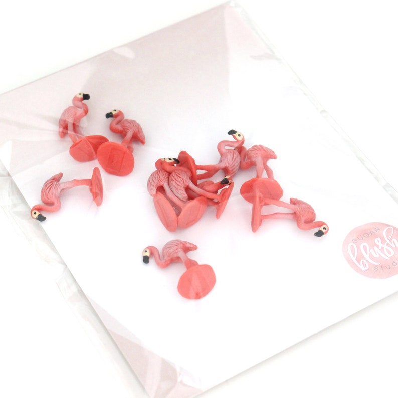 Set of Miniature Flamingos Mini Flamingo Terrarium - Etsy