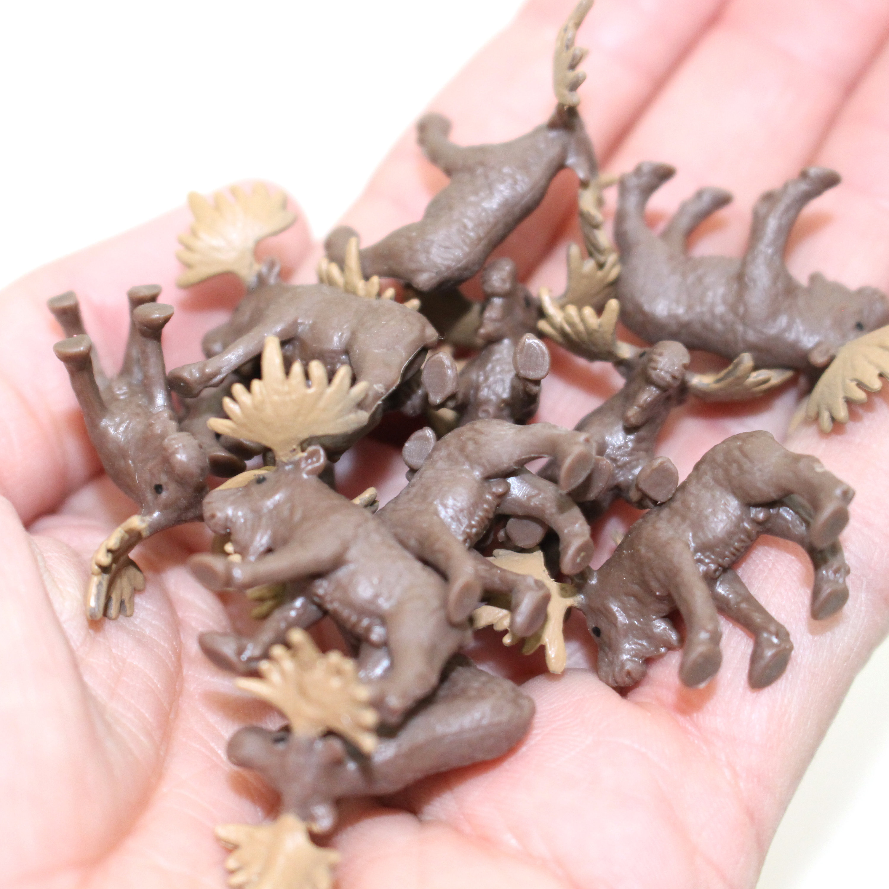 Set of Miniature Moose Mini Moose Terrarium Supplies - Etsy