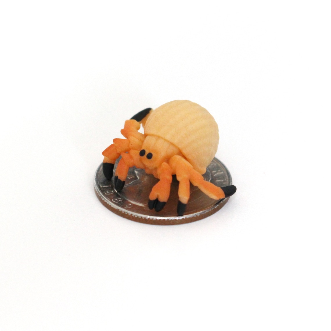 Set of Miniature Hermit Crabs Mini Crabs Terrarium | Etsy