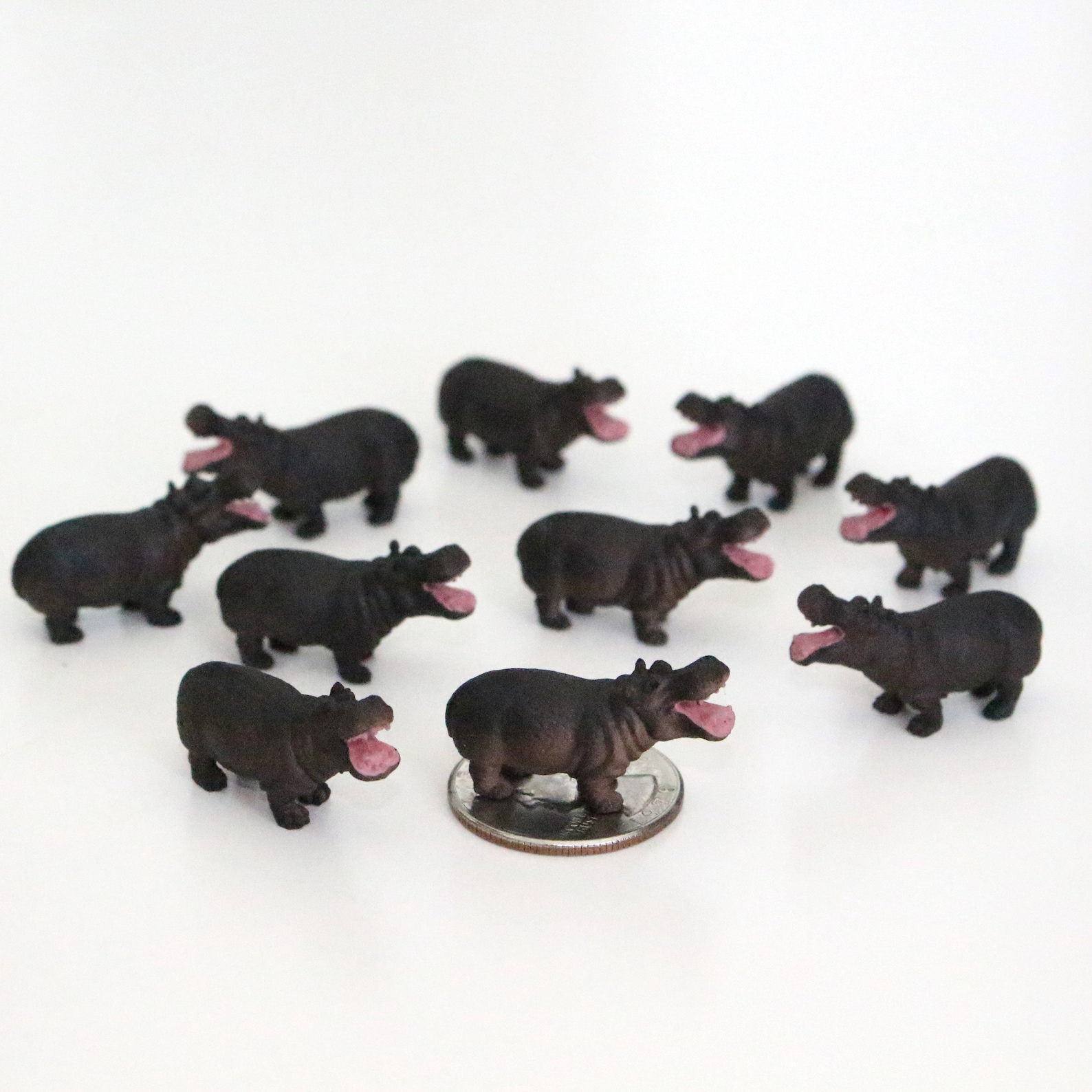Set of Miniature Hippos - Mini Hippopotamus - Terrarium Supplies ...