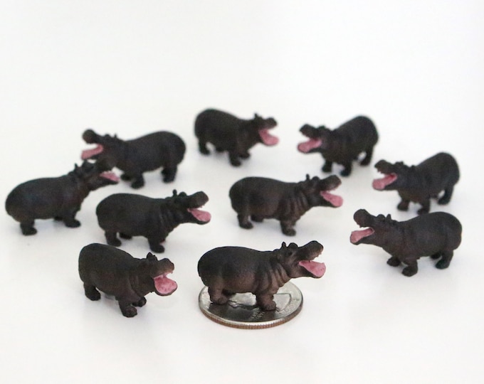 Set of Miniature Hippos Mini Hippopotamus Terrarium - Etsy