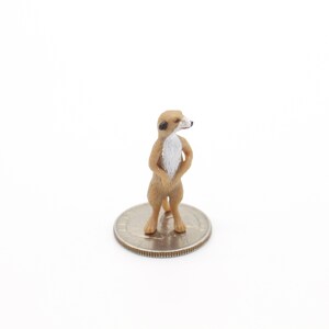 Set of Miniature Meerkats - Mini Meerkat - Terrarium Supplies - Teeny ...