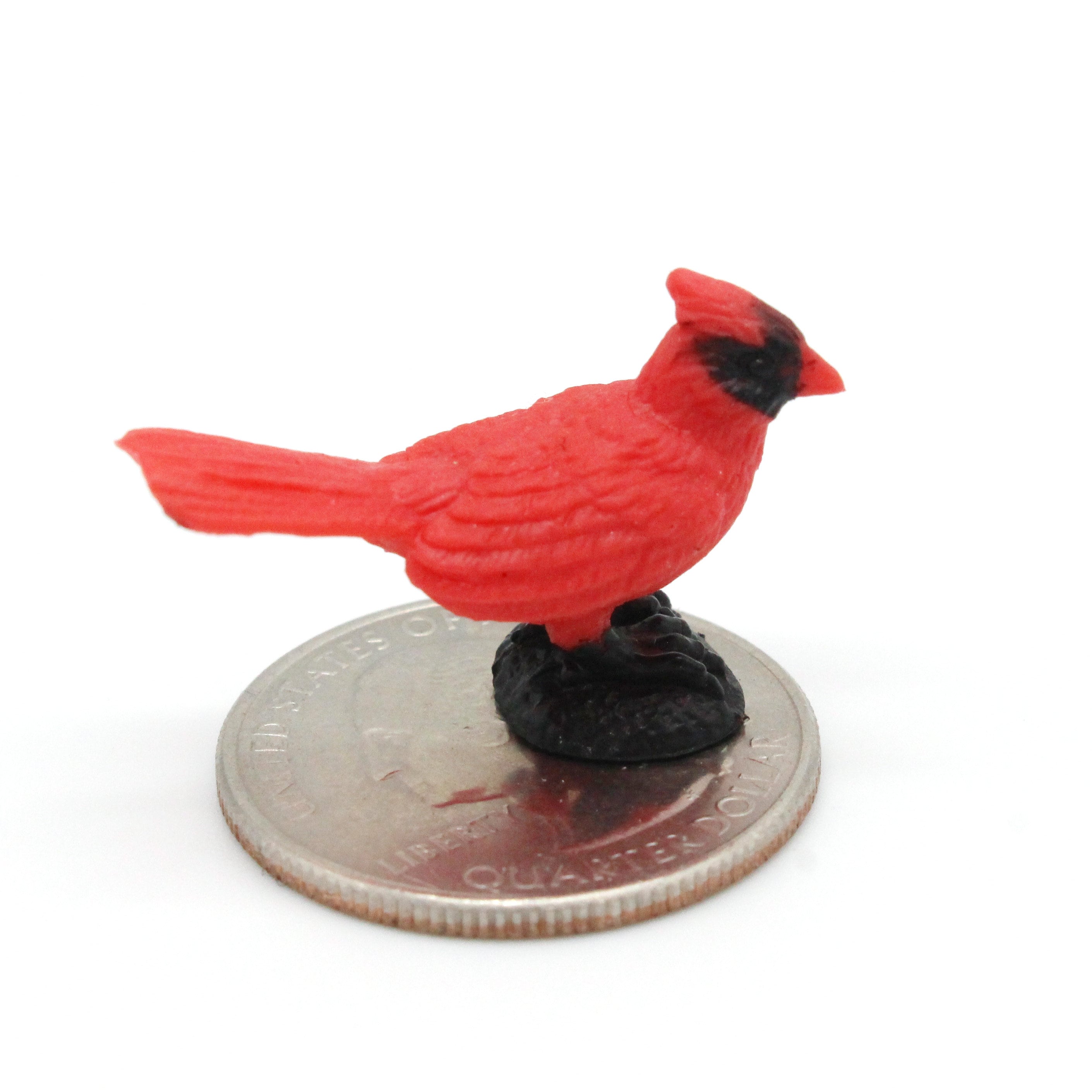 Set of Miniature Cardinals Mini Bird Terrarium Supplies - Etsy