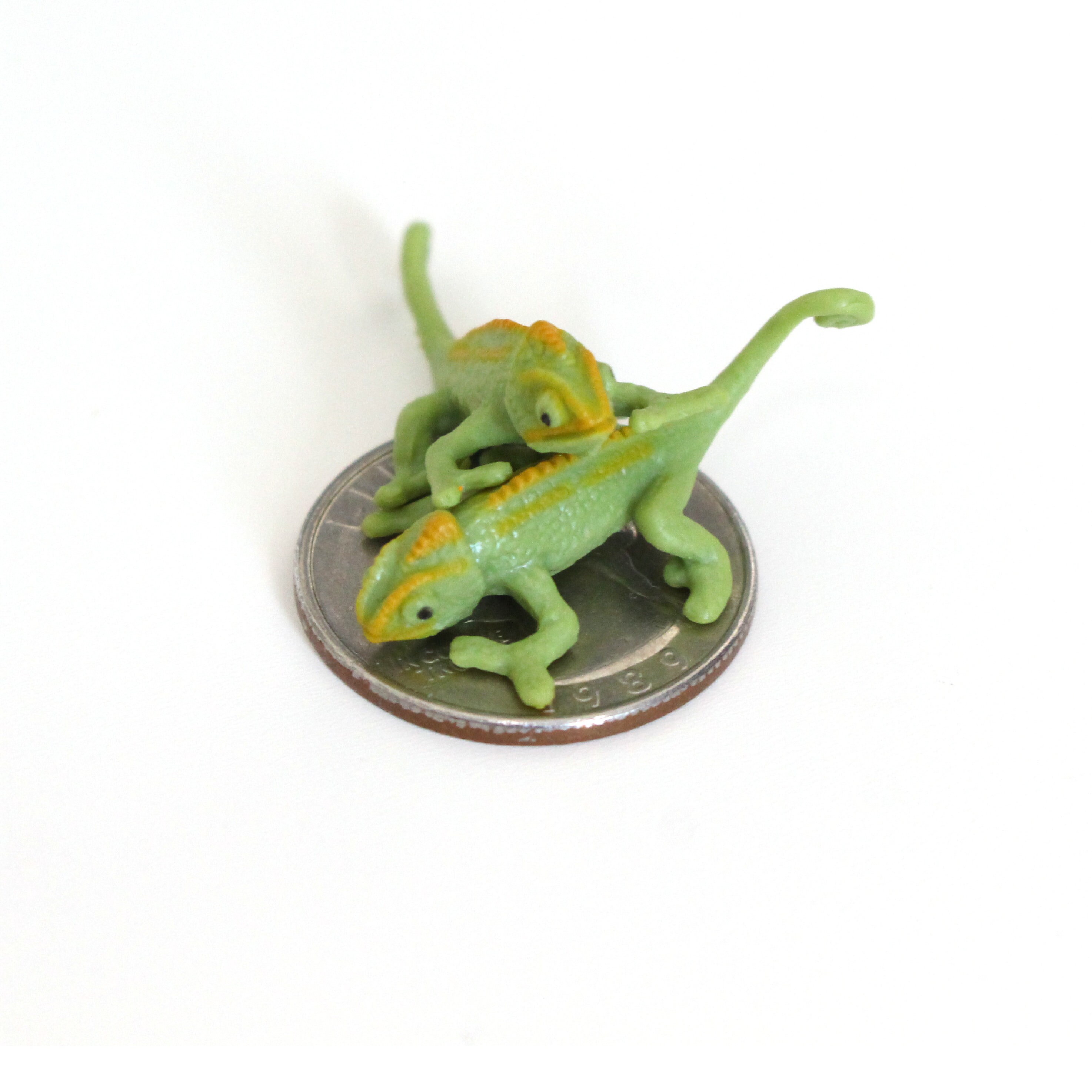 Set of Miniature Chameleon Mini Lizards Terrarium Supplies - Etsy