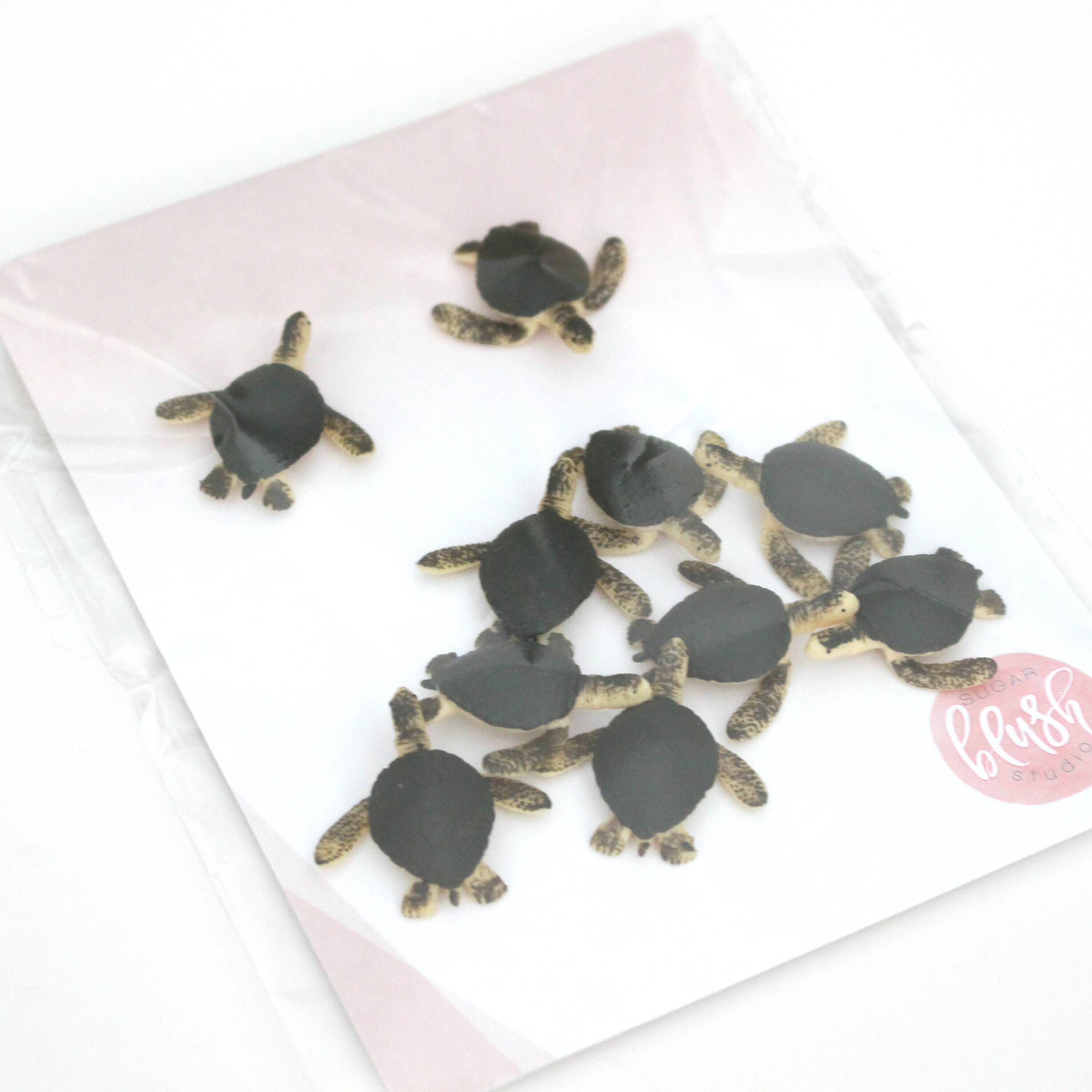 Set of Miniature Sea Turtles Mini Turtles Terrarium - Etsy