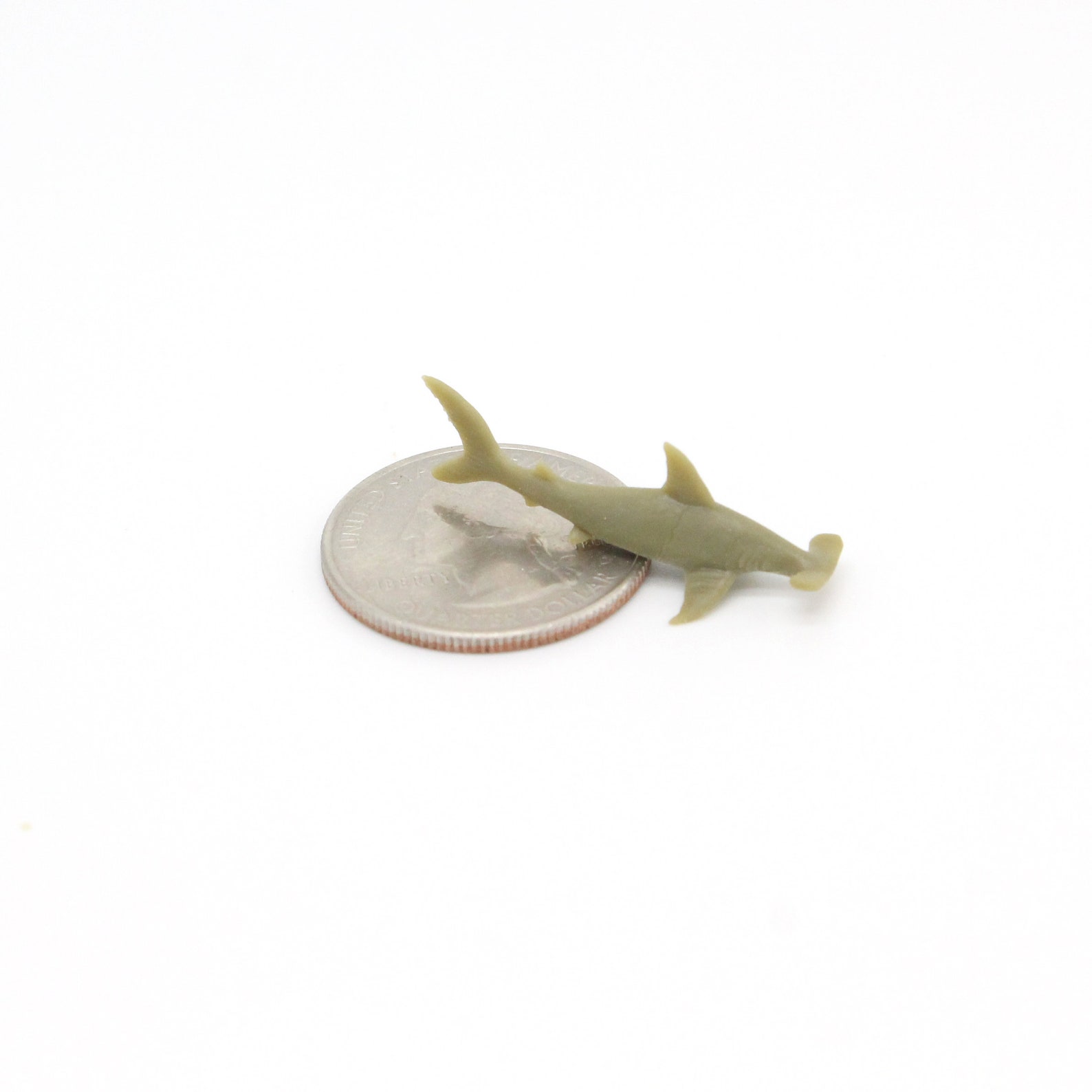 Set of Miniature Sharks Mini Hammerhead Shark Terrarium - Etsy