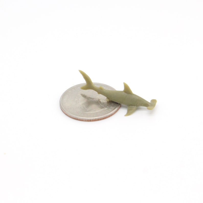 Set of Miniature Sharks Mini Hammerhead Shark Terrarium - Etsy