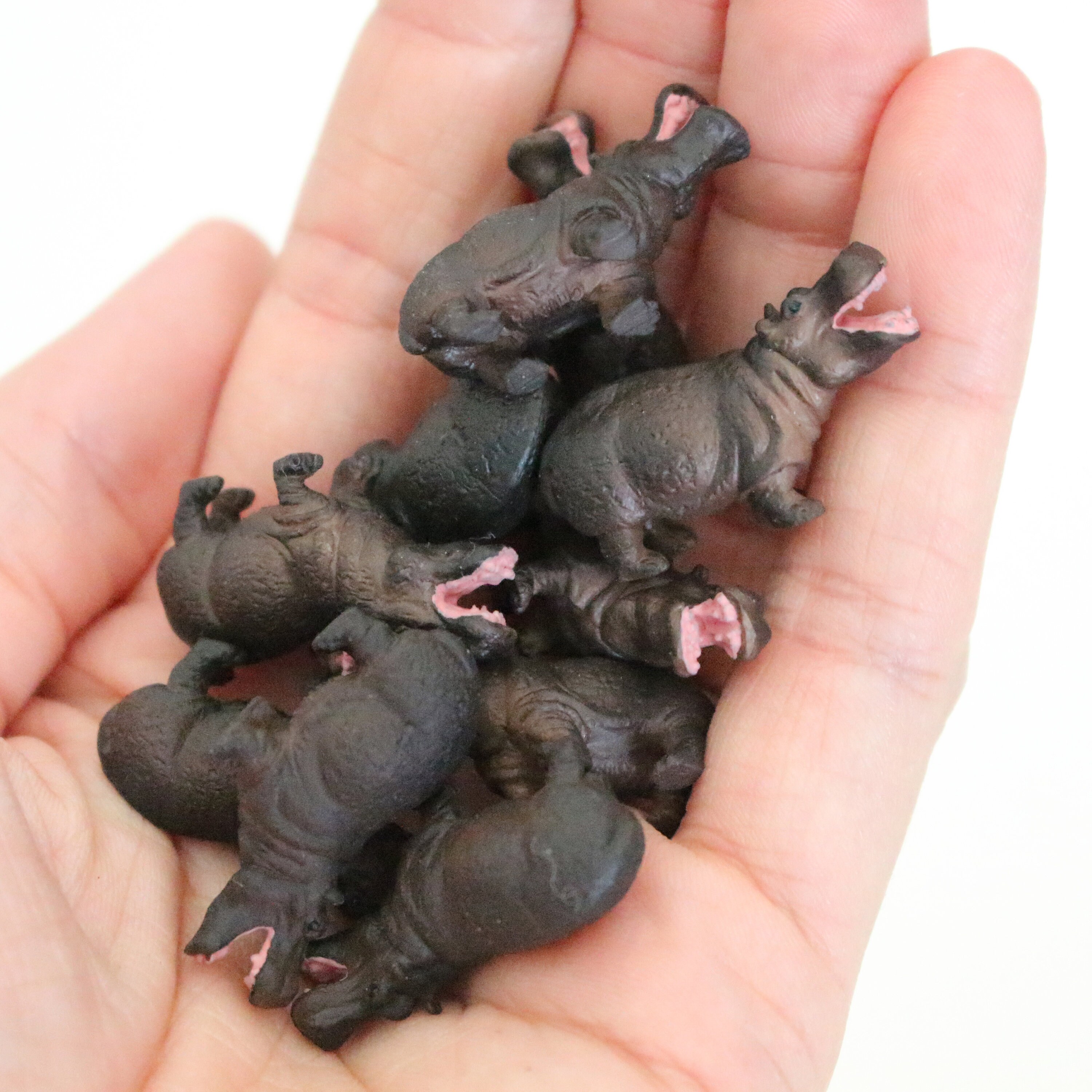 Set of Miniature Hippos Mini Hippopotamus Terrarium | Etsy