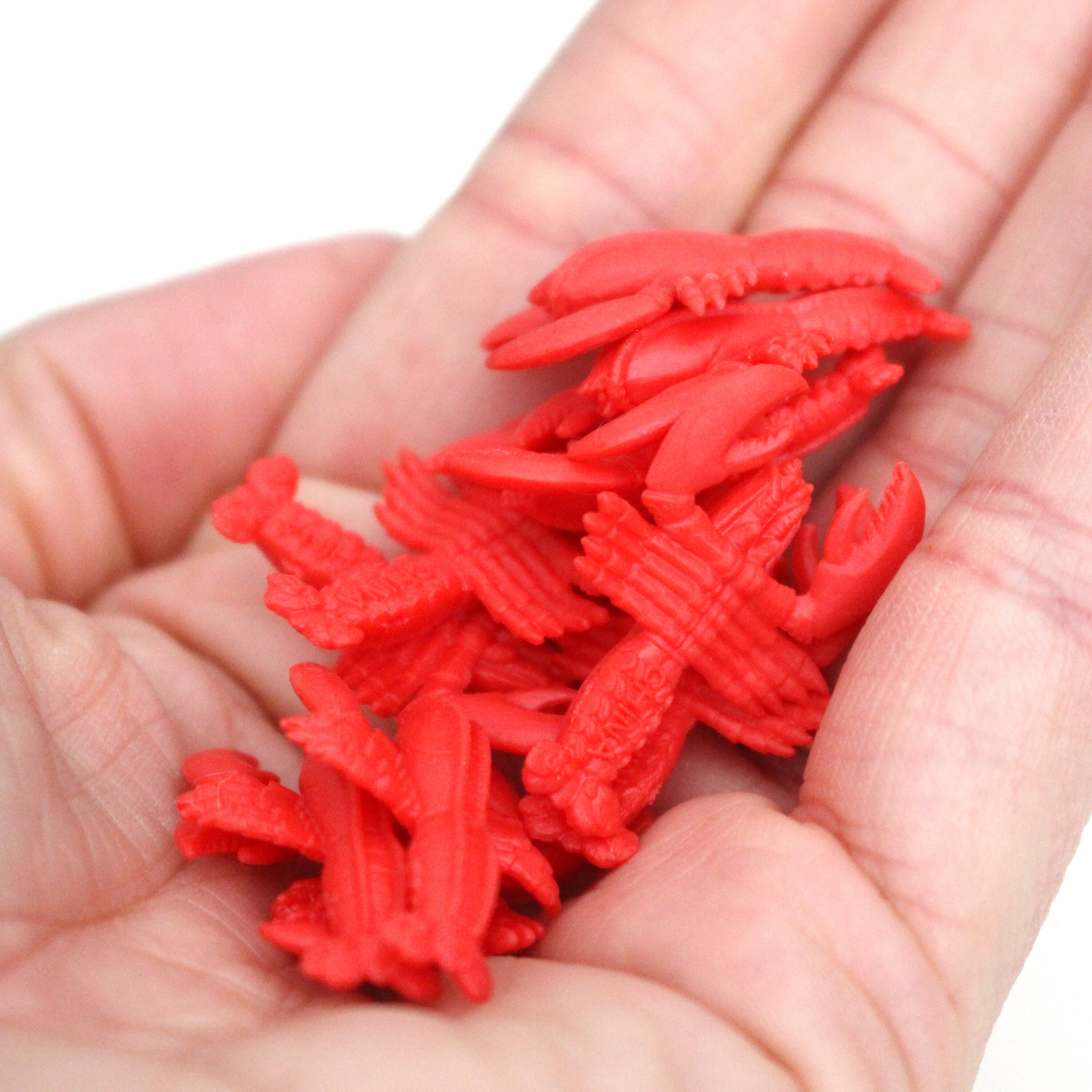 Set of Miniature Lobsters Mini Lobster Terrarium Supplies - Etsy