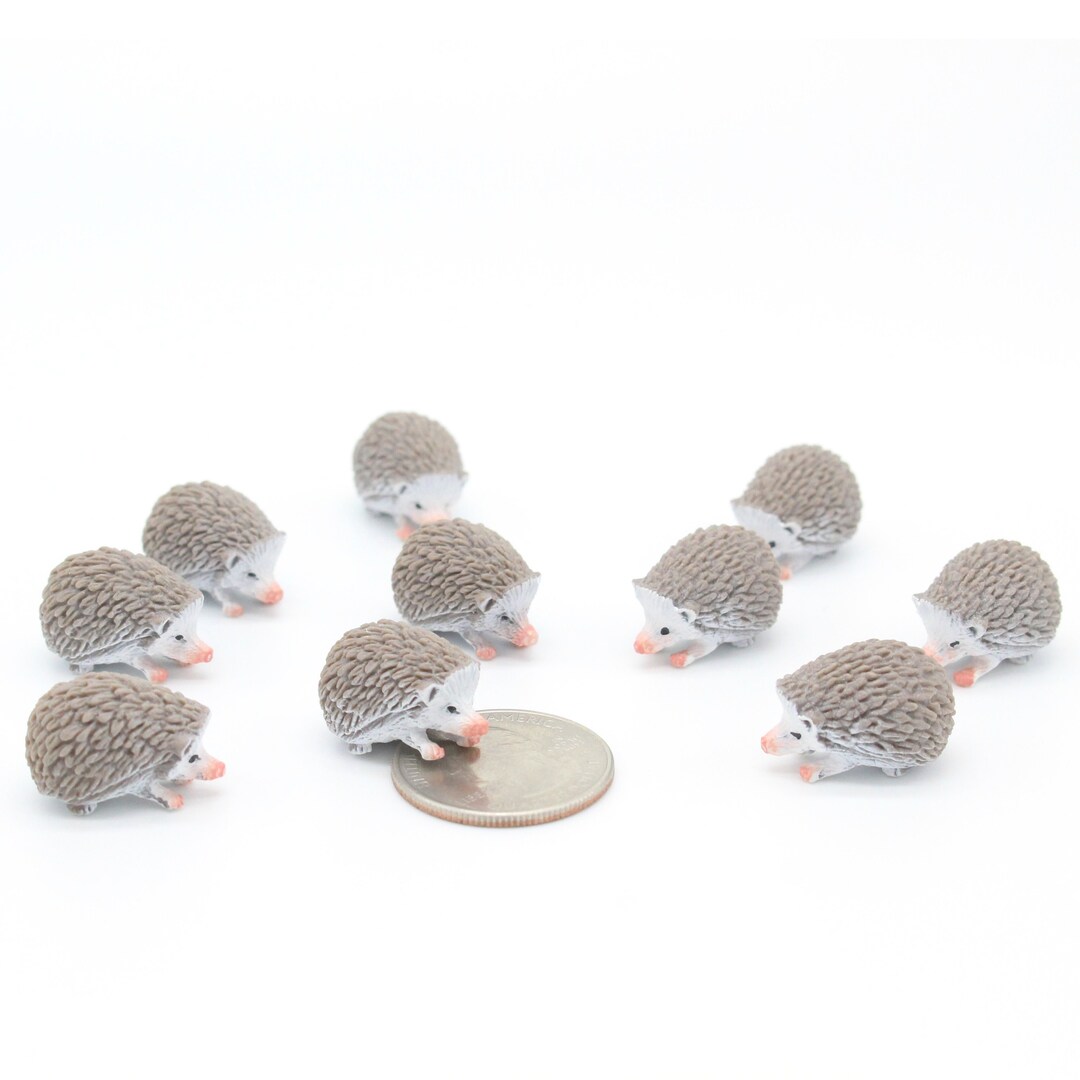 Set of Miniature Hedgehogs - Mini Hedgehog - Terrarium Supplies - Teeny ...