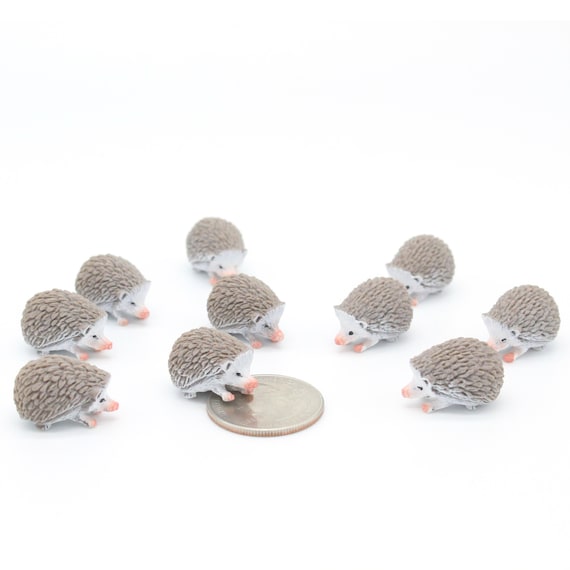 Mini Hedgehogs As Pets