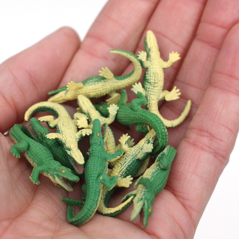 Set of Miniature Alligators - Mini Gators - Terrarium Supplies - Teeny ...