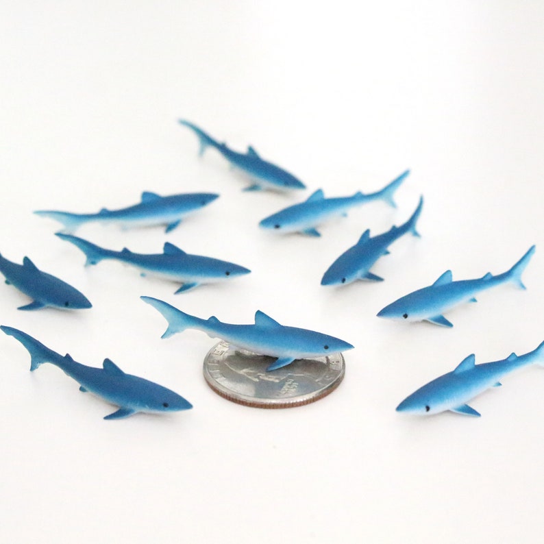 Set of Miniature Sharks Mini Blue Shark Terrarium Supplies | Etsy