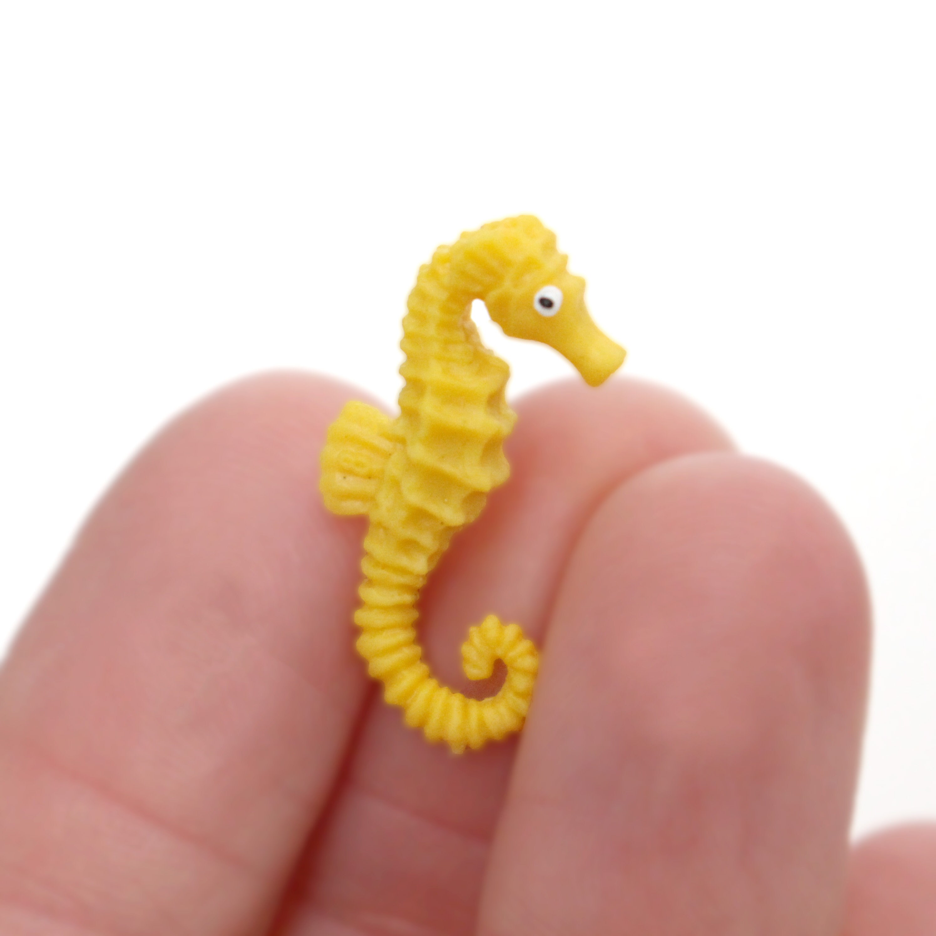 Set of Miniature Seahorses Mini Seahorse Terrarium - Etsy