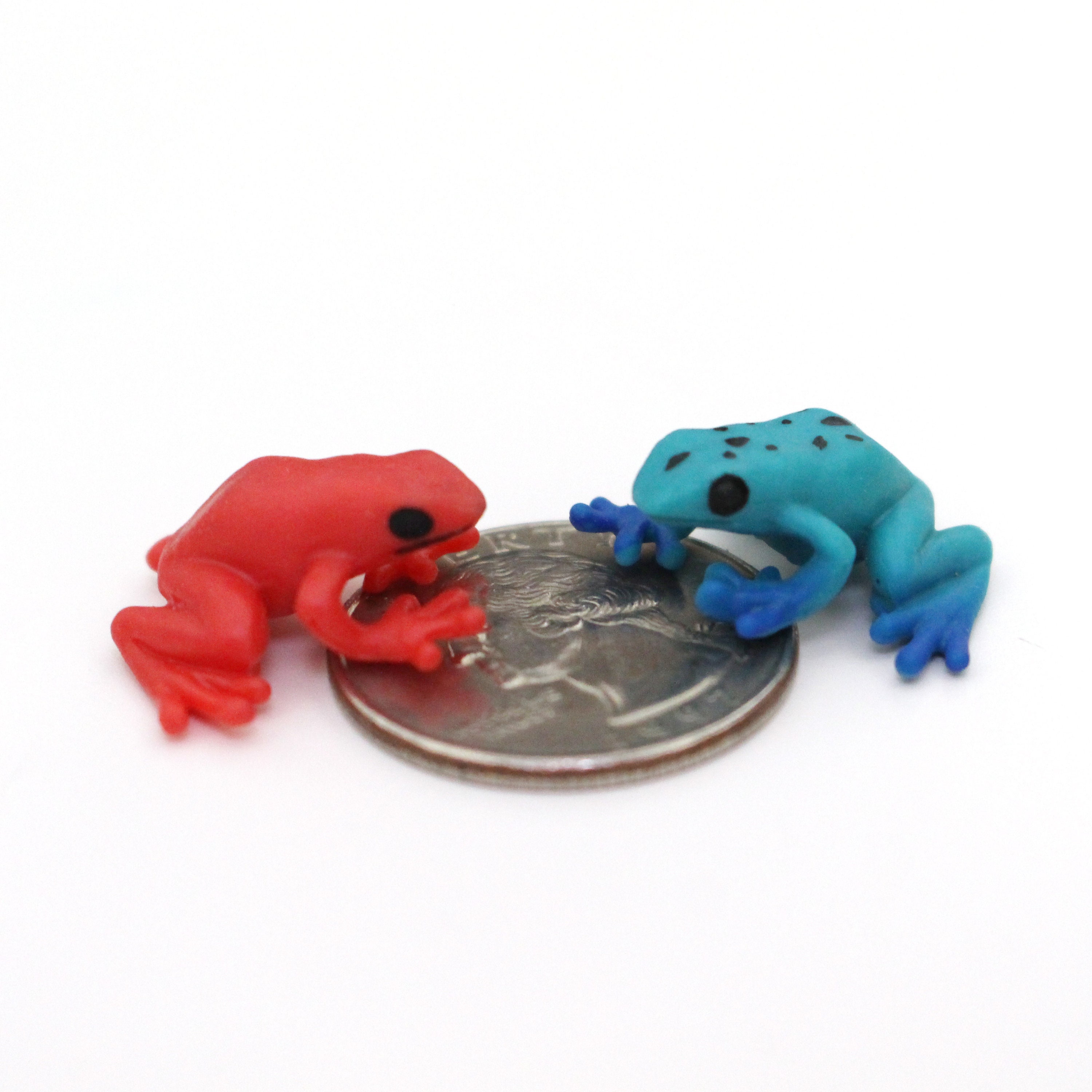Set of Miniature Frogs Mini Poison Arrow Dart Frogs - Etsy