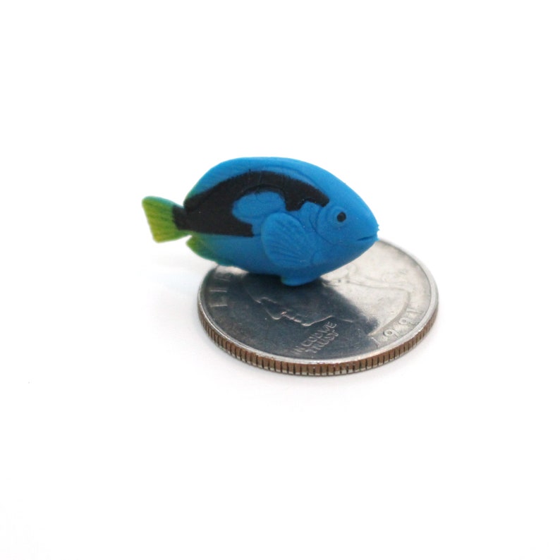 Set of Miniature Fish Mini Blue Tangs Dory Terrarium - Etsy