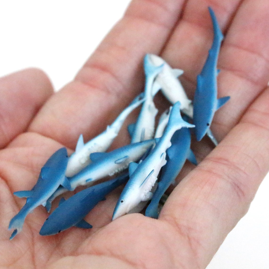 Set of Miniature Sharks Mini Blue Shark Terrarium Supplies | Etsy