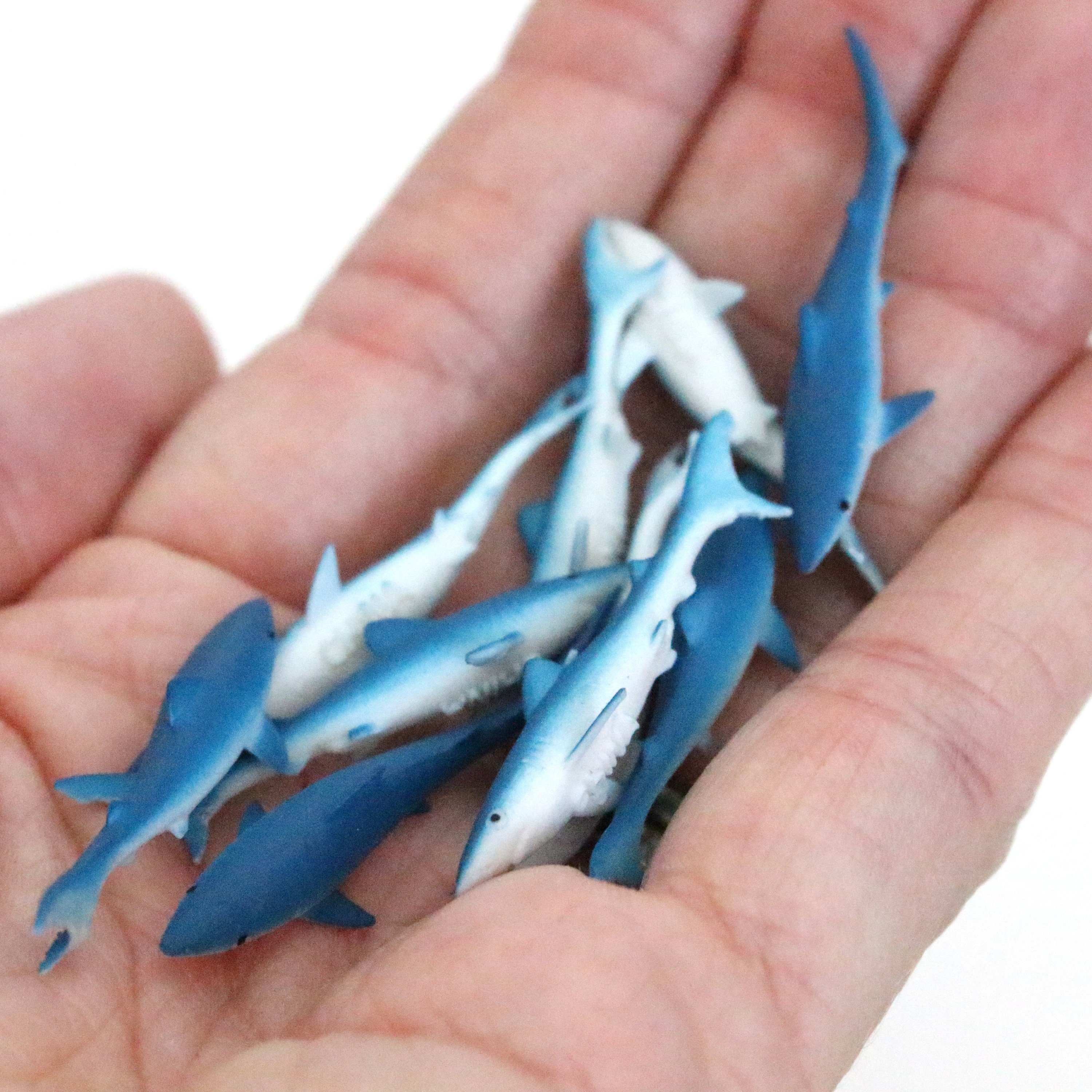 Set of Miniature Sharks Mini Blue Shark Terrarium Supplies | Etsy