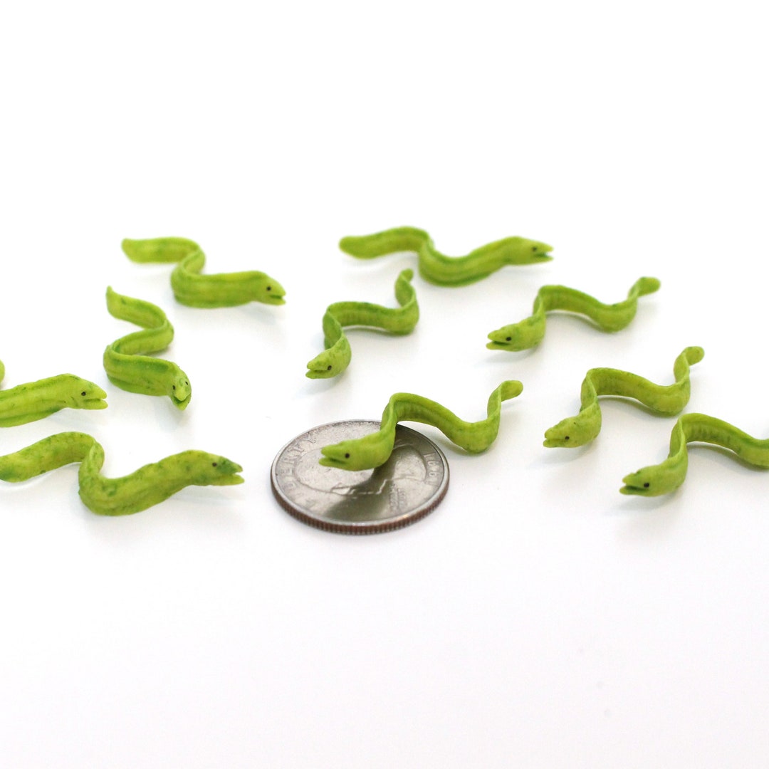 Set of Miniature Eels - Mini Moray Eels - Terrarium Supplies - Teeny ...
