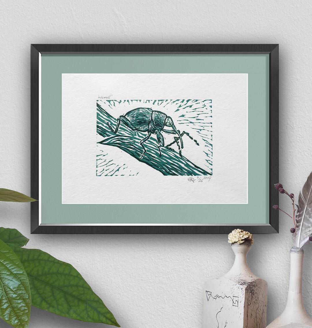 WEEVIL BEETLE: Original Handmade Print unframedbeetle,bug,specimen ...