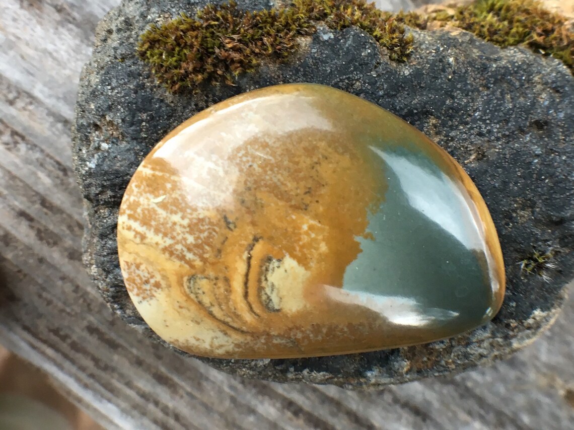 Owyhee picture jasper large freeform cabochon blue lakeside view Oregon ...