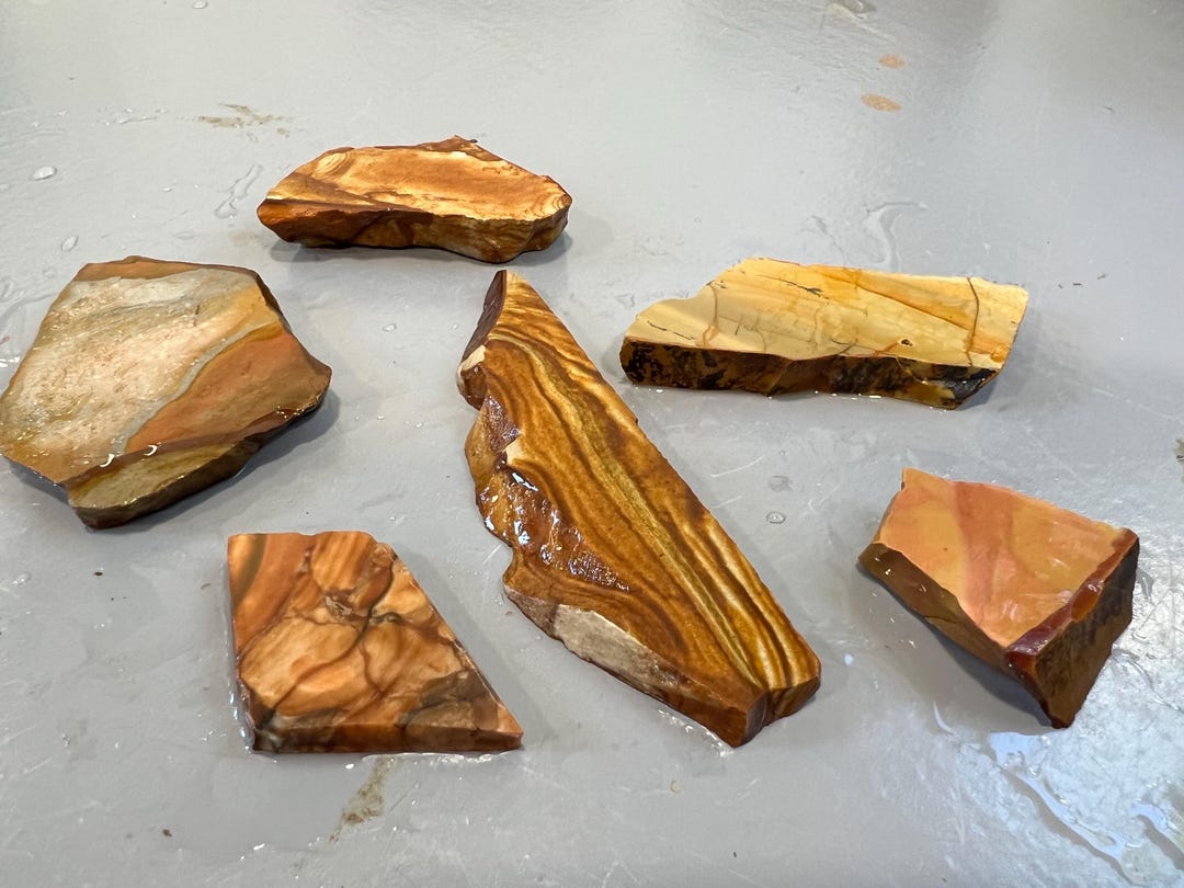 Scenic Picture Jasper Slab Lot: Oregon Lapidary Stone - Etsy
