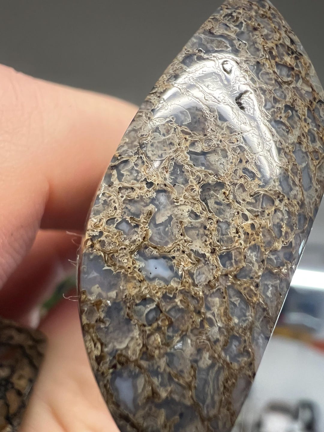 Beige, Tan, and Clear Petrified Dinosaur Bone Freeform Cabochon ...