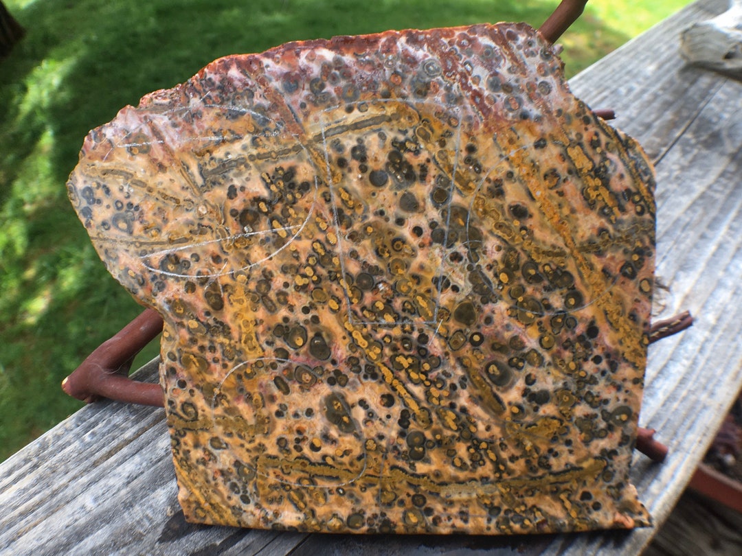 Large Leopard Skin Jasper Slab: Lapidary Cutting Stone - Etsy