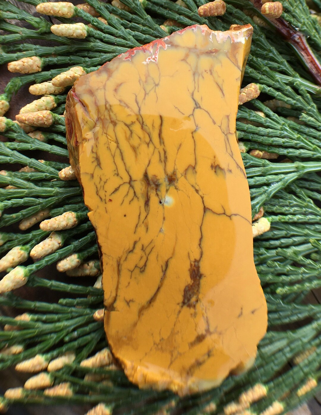 Yellow dendritic opalite slab gem and mineral slice stone for - Etsy 日本