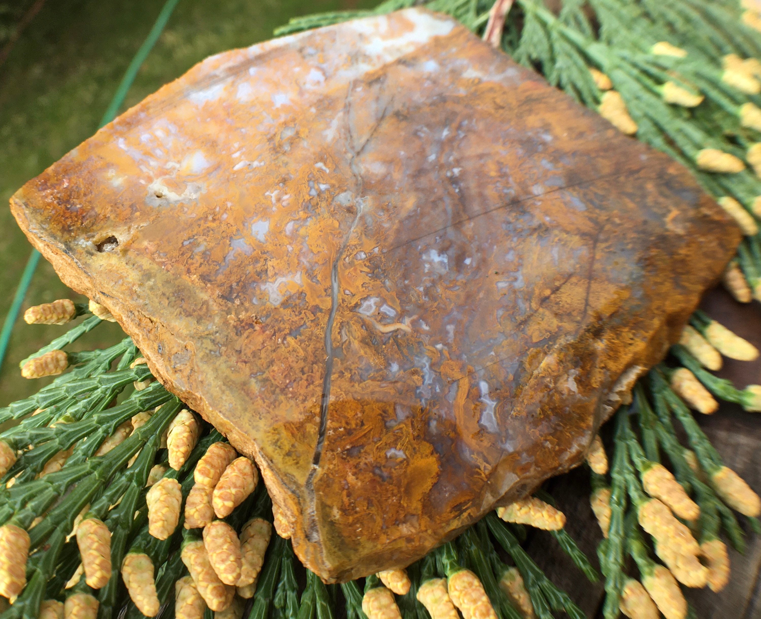 Orange Moss Agate Slab White Fortification With Small Bands Stone for Jewelry Wire Wrap or ...