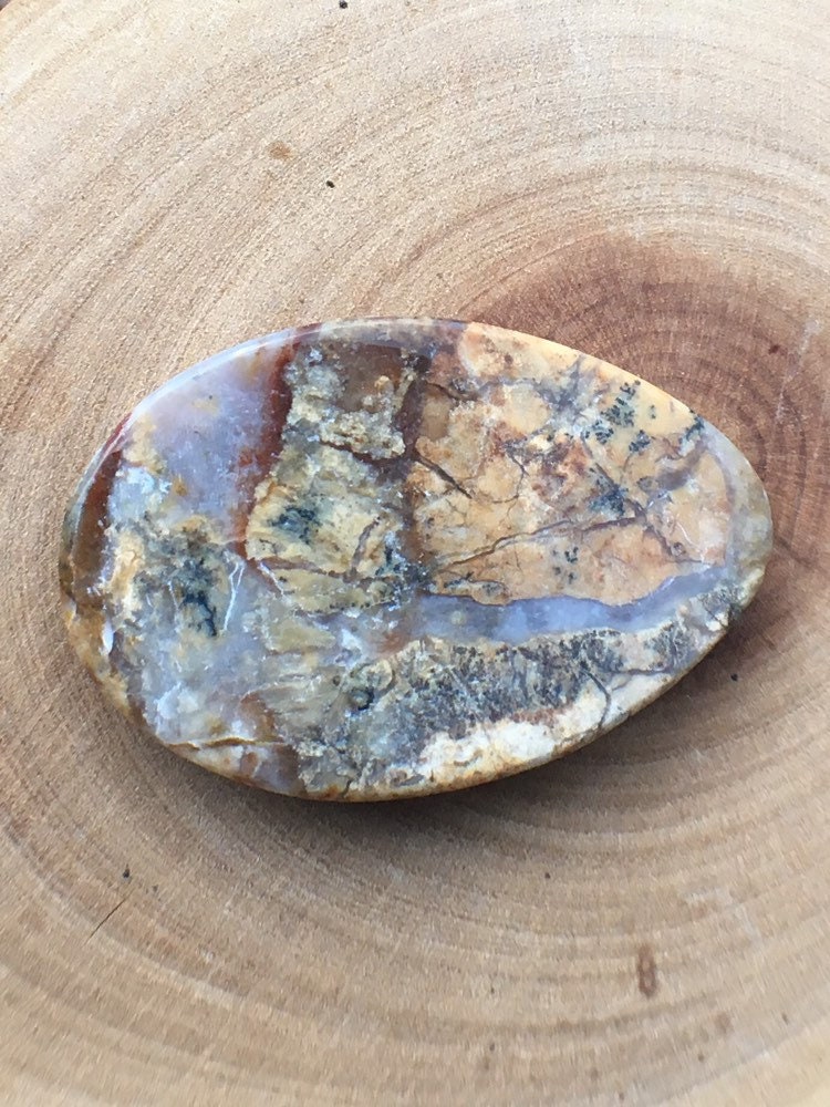 Coprolite Freeform Cabochon Red Yellow Clear Egg Shaped - Etsy