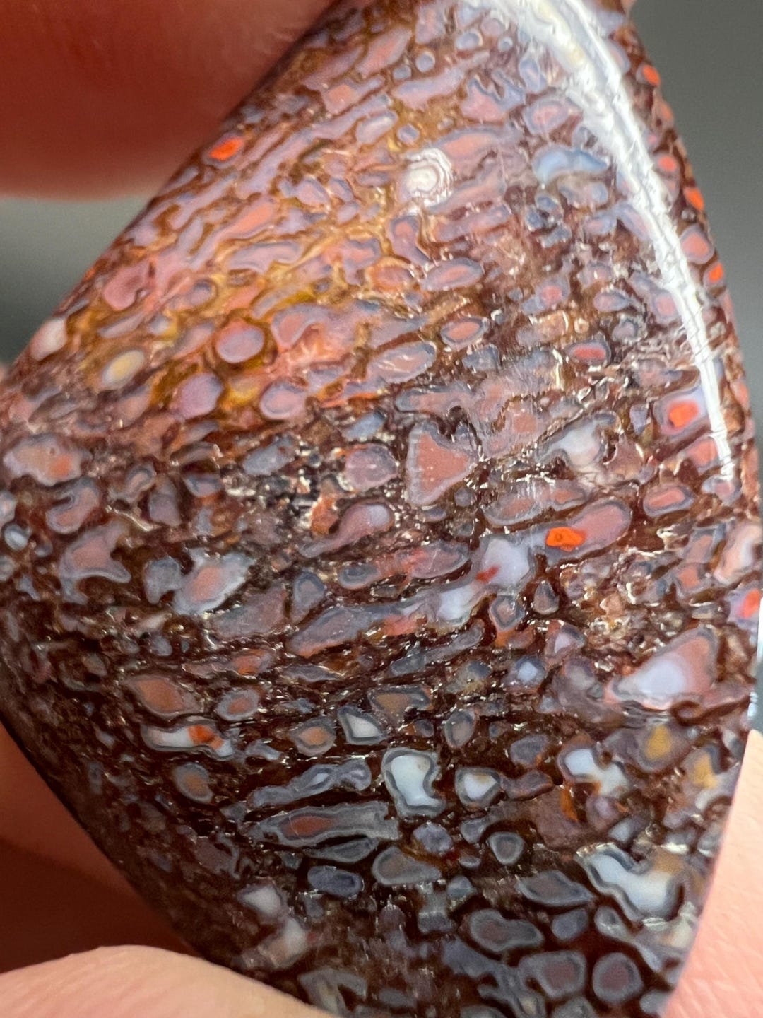 Pink, Purple, White, Red, Blue and Grey Petrified Dinosaur Bone ...