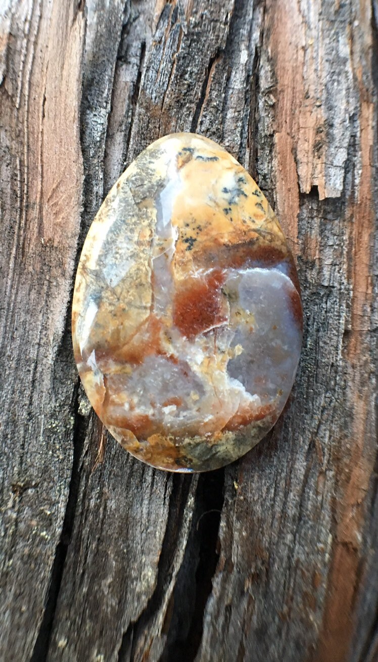 Coprolite Freeform Cabochon Red Yellow Clear Egg Shaped Petrified ...