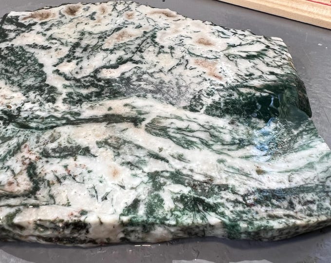 Green Tree Agate Slab Large Green and White Druzy Gem and Mineral Slice ...