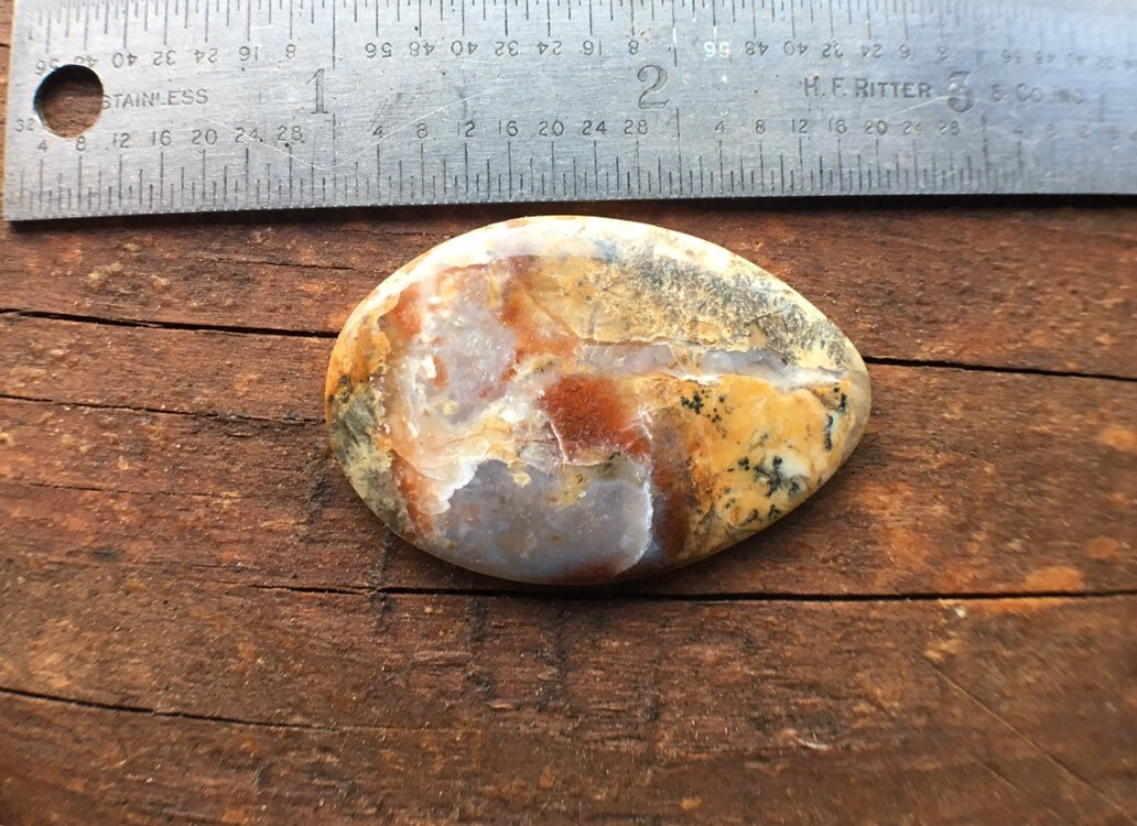 Coprolite Freeform Cabochon Red Yellow Clear Egg Shaped - Etsy