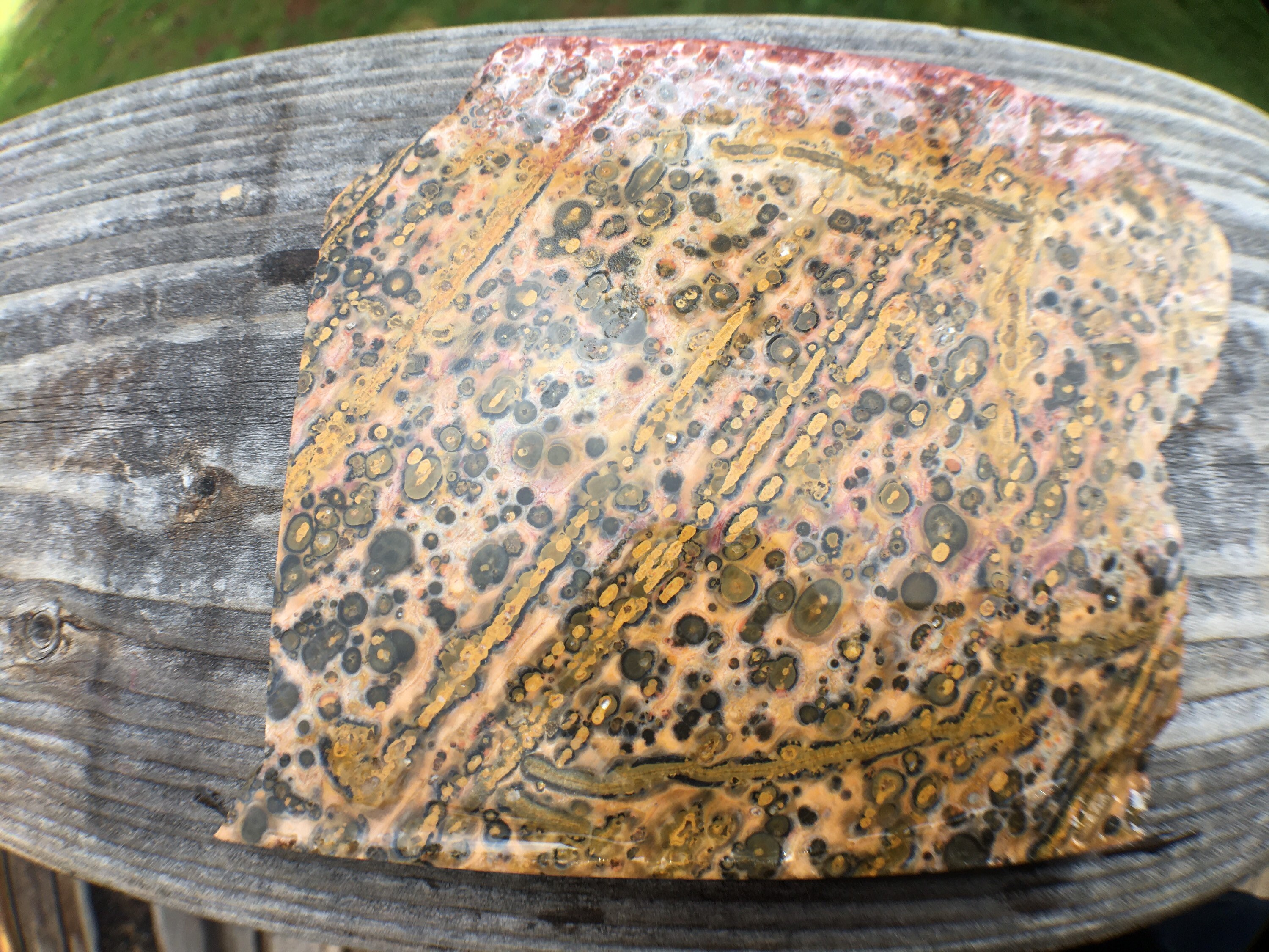 Large AAA Lepeord Skin Jasper Slab Stone for Display or - Etsy
