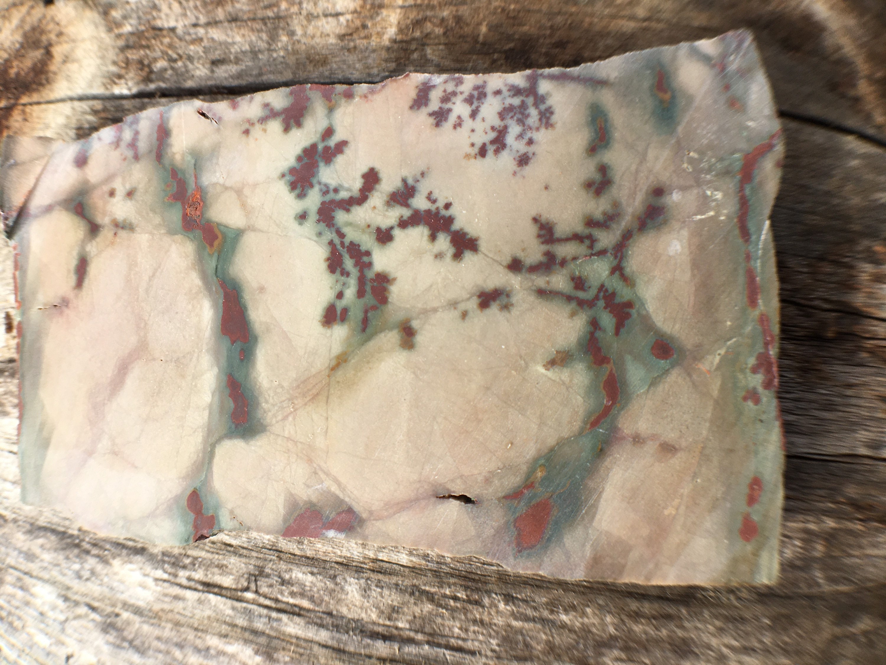 Buy Outstanding Owyhee Chinese Dendritic Jasper Slab Flower Jasper ...