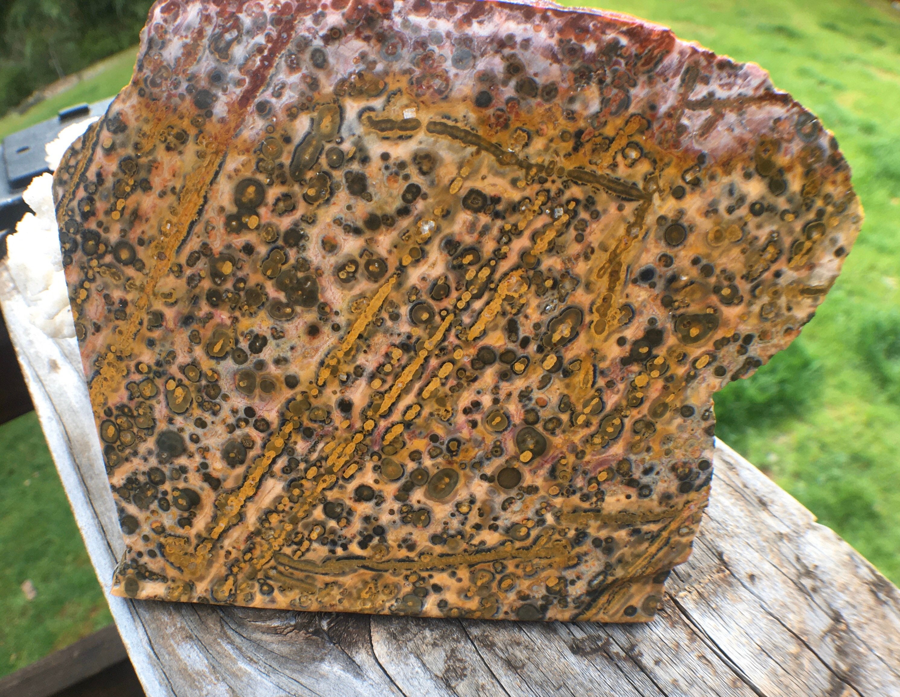 Large AAA Lepeord Skin Jasper Slab Stone for Display or - Etsy