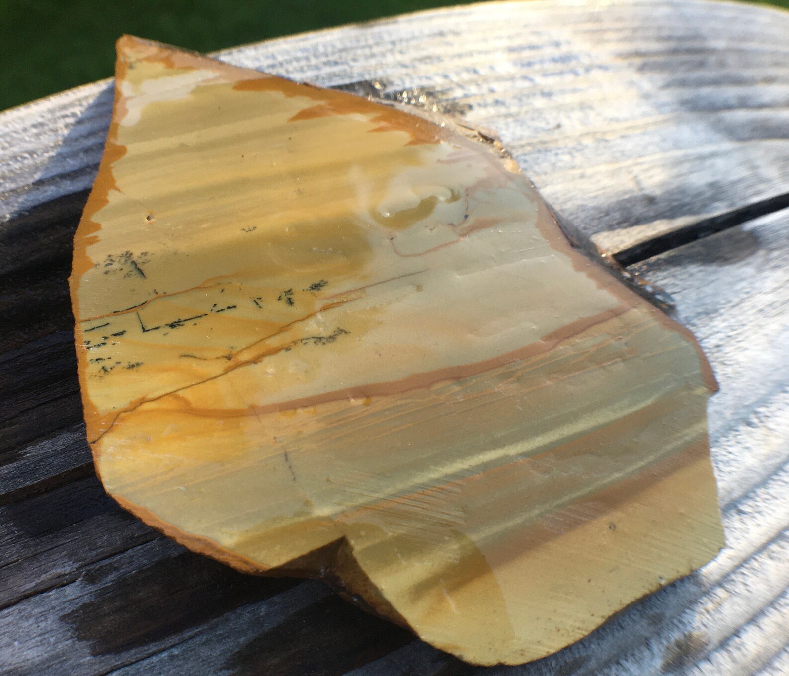 Owyhee Picture Jasper Slab Gem and Mineral Slice or Display Specimen ...