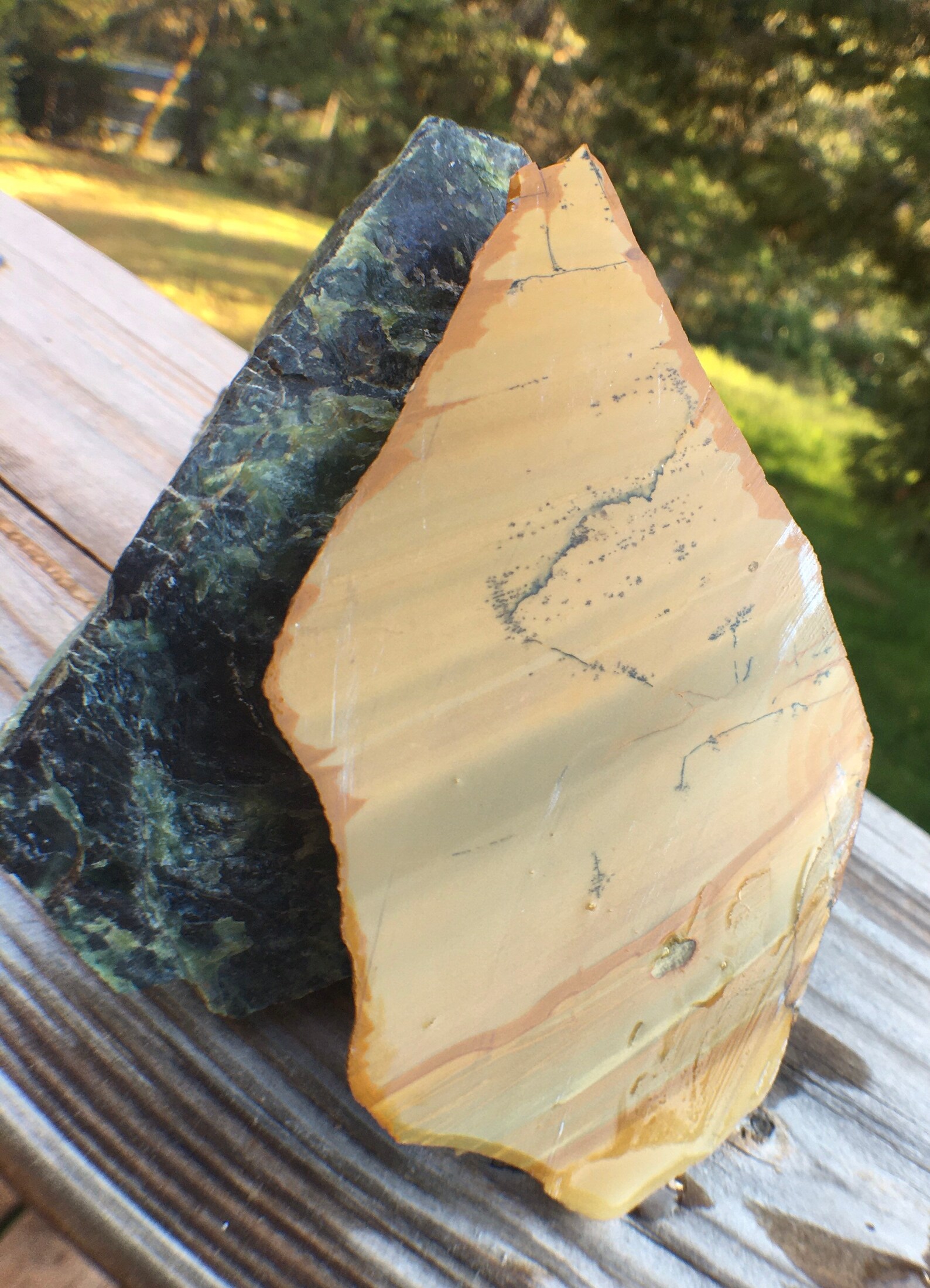 Owyhee Picture Jasper Slab Gem and Mineral Slice or Display Specimen ...