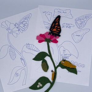 Butterfly Life Cycle Felt Board Pattern – Interactive Science (DIY ...