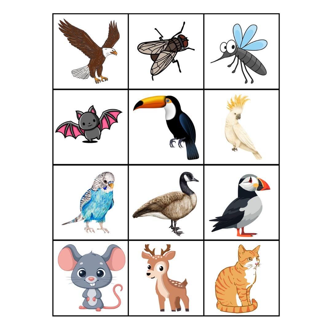 Flisat Habitat Sorting Insert, Animal Habitats (PDF Pattern) - Etsy