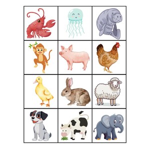 Flisat Printable Habitats, Sky, Land or Water, Sorting Activity, Where ...