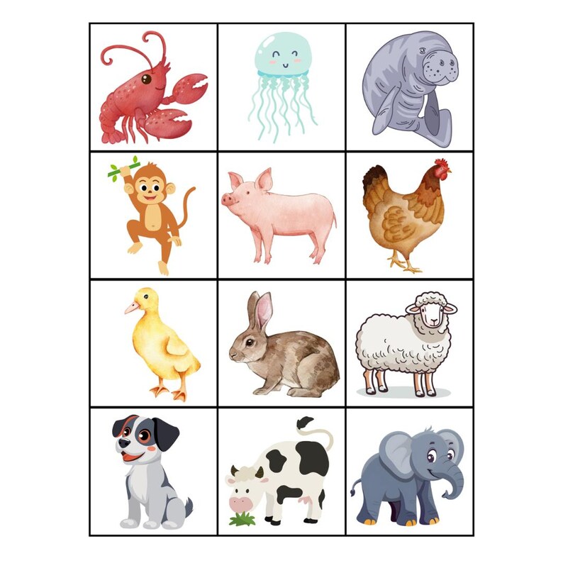 Flisat Habitat Sorting Insert, Animal Habitats (PDF Pattern) - Etsy