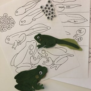 Frog Life Cycle Felt Story Board Pattern - DIY Downloadable Pattern - Etsy