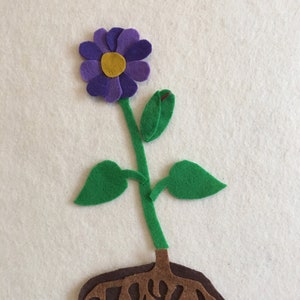 Interactive Plant Life Cycle Teaching Aid - Montessori Inspired Felt ...