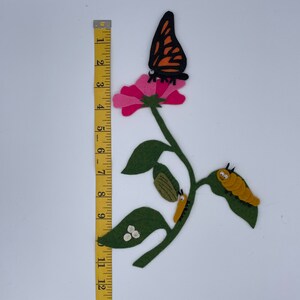 Butterfly Life Cycle Felt Board Pattern - Perfect for Interactive ...