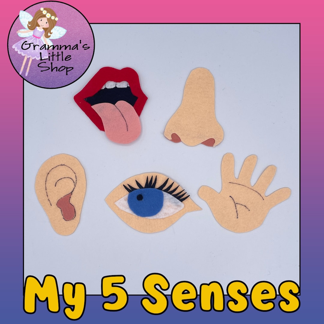 5 Senses Felt Craft Set: 5 Items for Each Sense, Directions, and ...