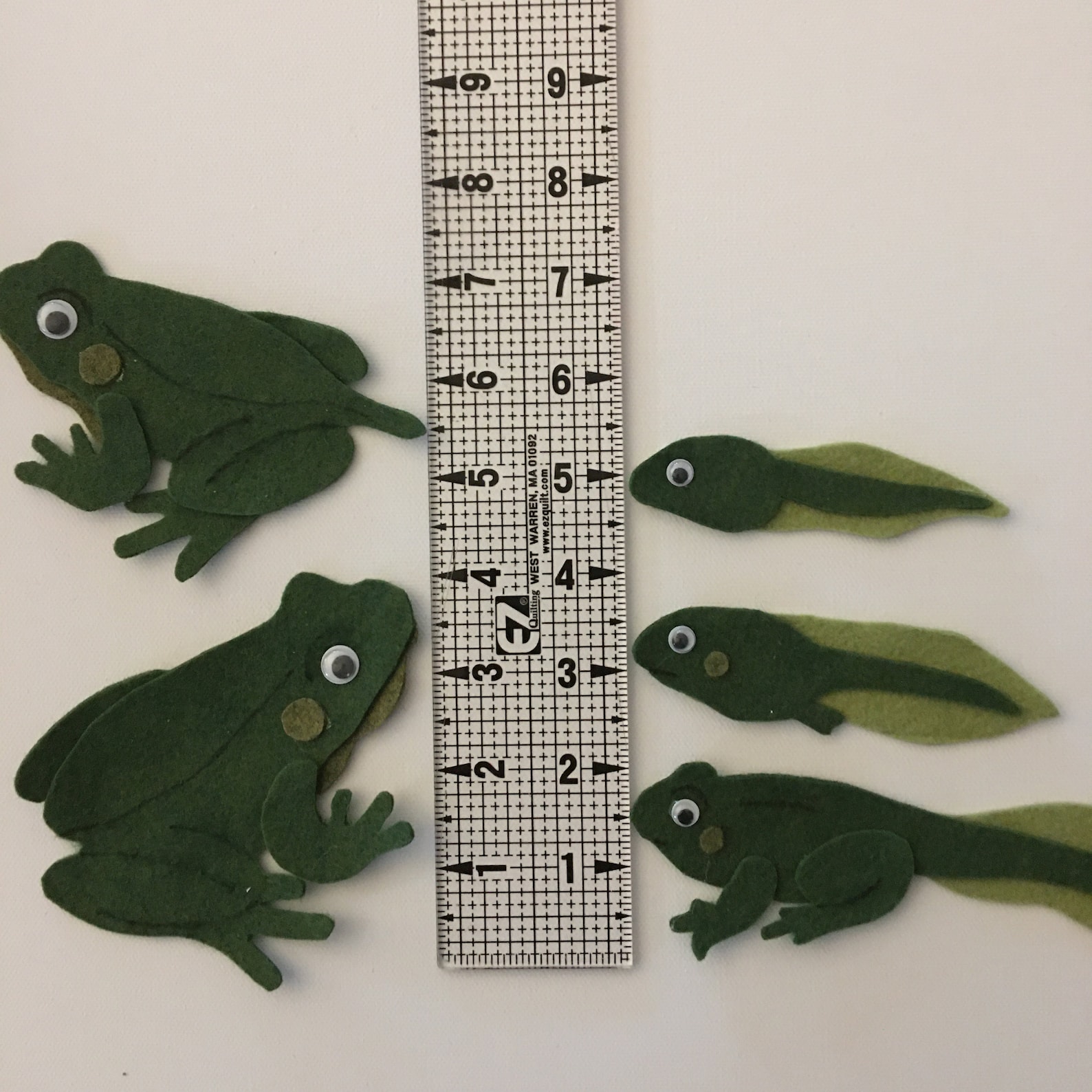 Frog Life Cycle Felt Story Board Pattern DIY Downloadable | Etsy