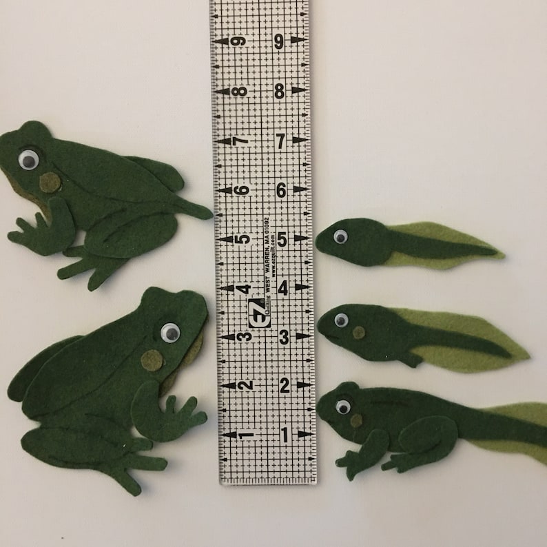 Frog Life Cycle Felt Story Board Pattern DIY Downloadable | Etsy